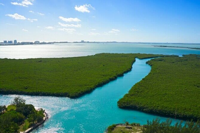 Shared Jungle Speed Boat Tour in Cancun - What to Expect from the Tour