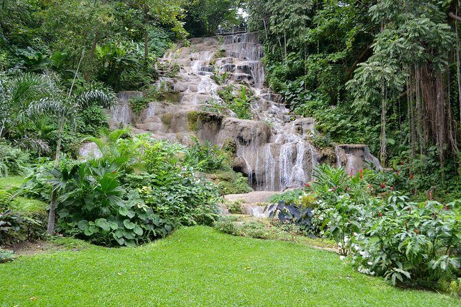 Shared Konoko Falls and Tropical Garden Tour from Runaway Bay - Key Points
