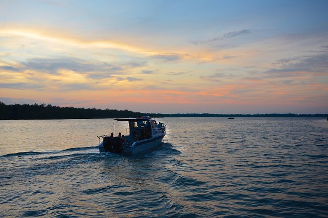 Shared Mangrove & Irrawaddy Dolphin Watching Cruise - Key Points