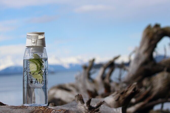Shared Mindfulness in Wilderness Tour From Alaska - An In-Depth Review of the Wilderness and Mindfulness Tour