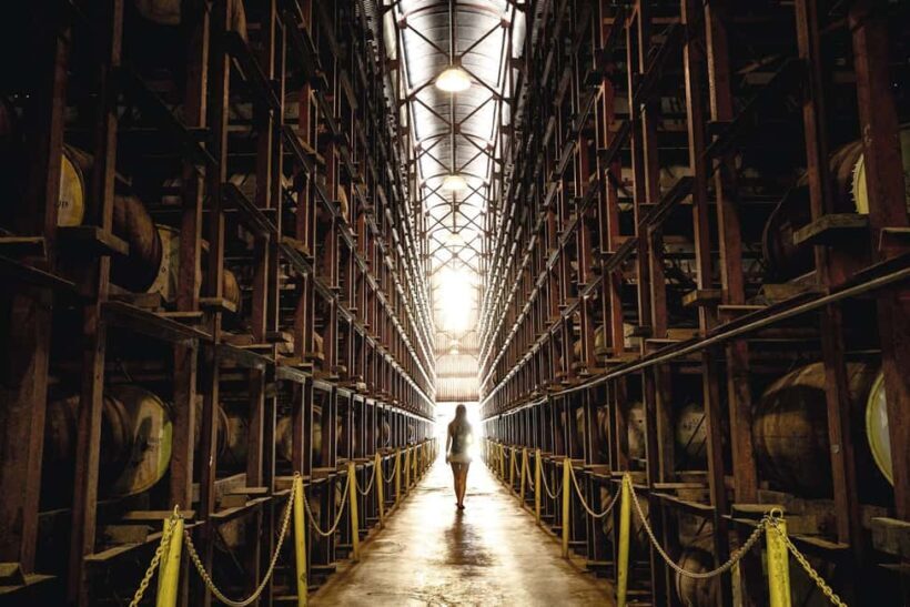 Shared or Private FD Appleton Rum, YS Falls & Pelican Bar - An In-Depth Look at the Tour Itself