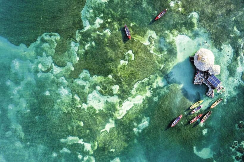 Shared or Private FD Appleton Rum, YS Falls & Pelican Bar - The Sum Up