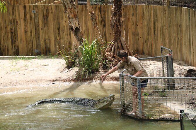 Shared Shuttle Return Transfers (ex Port Douglas) Transfers Only - Authentic Experiences and Guide Expertise