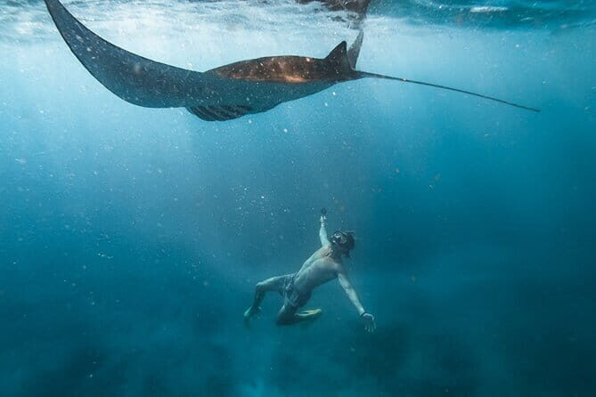 Shared Snorkeling 3-4 spot manta bay in Nusa Penida - Introduction