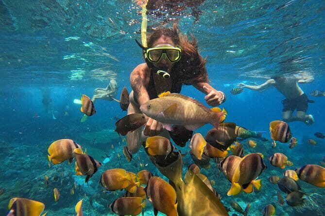 Shared Snorkeling 3-4 spot manta bay in Nusa Penida - Practical Details: What You Should Know