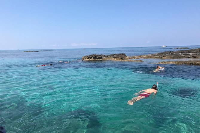Shared Snorkeling Tour From Tropea to Capo Vaticano - Traveler Feedback and Recommendations