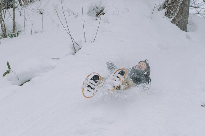 Shared Snowshoe Hiking Tour in Semboku - Key Points