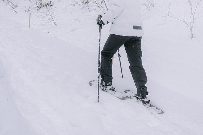 Shared Snowshoe Hiking Tour in Semboku - Booking Information