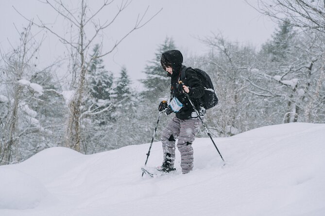Shared Snowshoe Hiking Tour in Semboku - What to Expect on the Snowshoe Hike