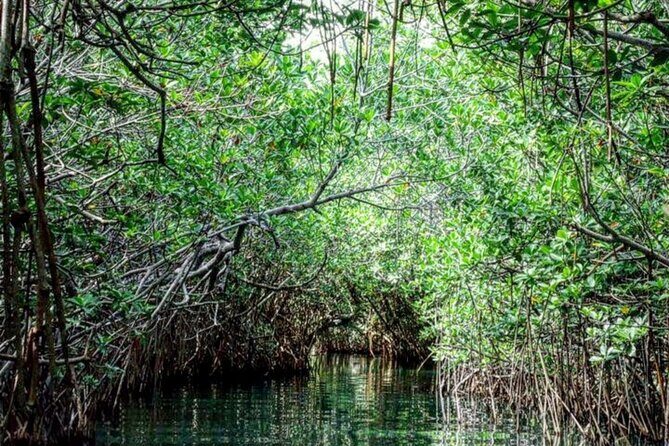 Shared Speedboat and Snorkeling Adventure in Cancun - Key Points