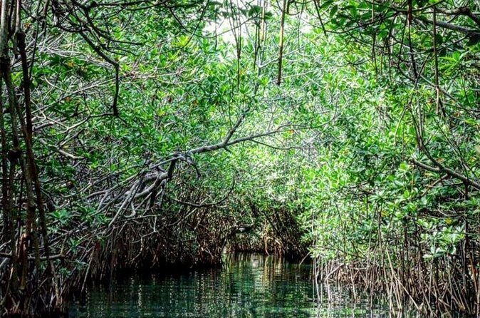 Shared Speedboat and Snorkeling Adventure in Cancun - Why This Tour Offers Real Value