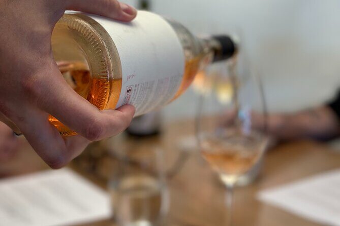 Shared Sydney City Walking Tour and Wine Tasting - Who Will Get the Most Out of This Tour?