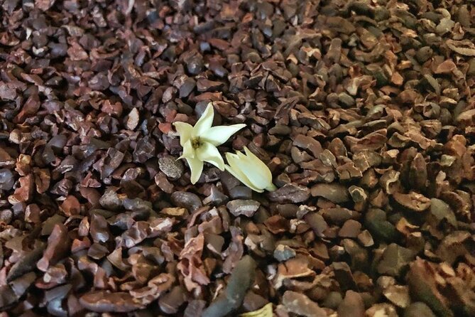 Shared Tour by Minivan or Car From Syracuse to Ragusa, Noto and Modica - Exploring Ragusa and Modica