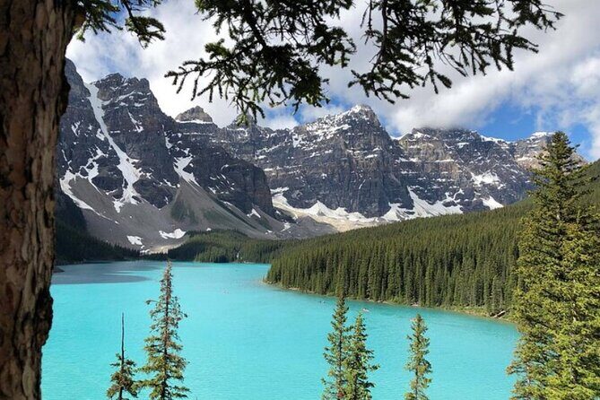 Shared Tour: Emerald Lake Lake Louise & Moraine Lake from Calgary - An In-Depth Look at the Itinerary and What You’ll Experience