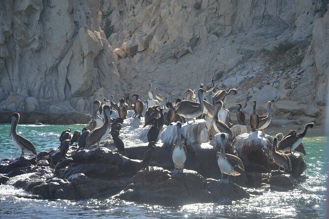 Shared Tour to the Arch of Cabo San Lucas - Who Will Love This Tour?