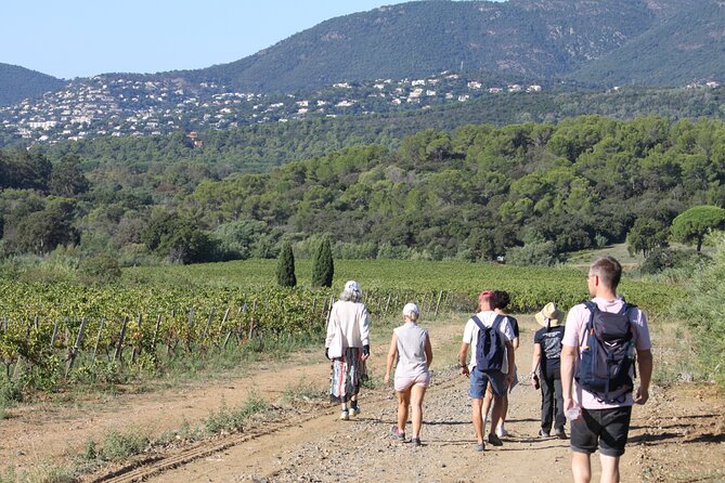 Shared Tour - Wine Tour From Saint Tropez - Key Points