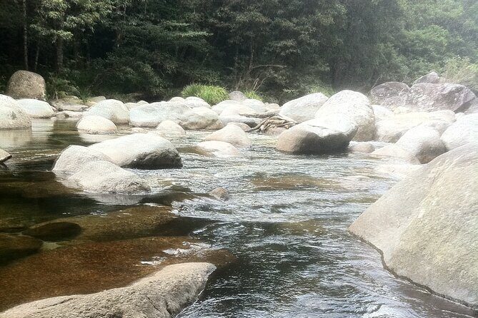 Shared Transfer Between Cairns and Port Douglas - Authentic Feedback & What Travelers Say
