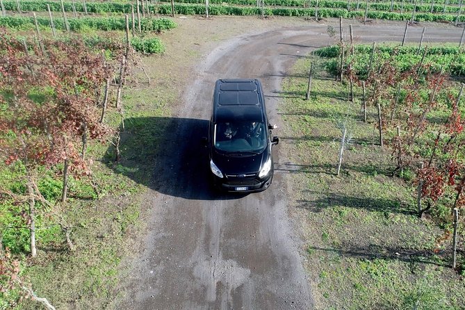 Shared Transfer From Sorrento to Naples Airport - Comparison to Other Transfer Options