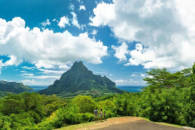 Shared Transfer : Moorea Airport (or) Pier to Hotel - Key Points