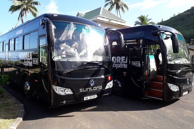 Shared Transfer : Moorea Airport (or) Pier to Hotel - Authentic Experiences and Real Traveler Insights