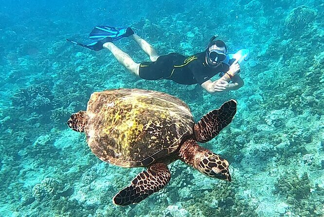 Shared Transfer : Moorea Airport (or) Pier to Hotel - FAQ