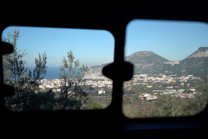 Shared Transfer service from Sorrento to Naples central station - What the Service Offers