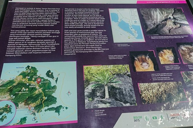 Sharing Half Day Mangrove Boat Tour With Lunch in Langkawi - A Detailed Look at the Tour Itinerary