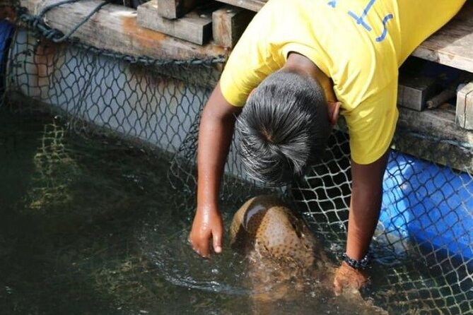 Sharing Half Day Mangrove Boat Tour With Lunch in Langkawi - The Value Proposition