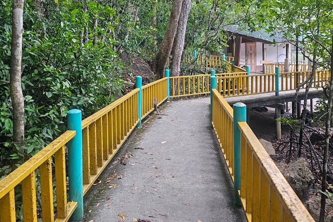 Sharing Half Day Mangrove Boat Tour With Lunch in Langkawi - FAQ