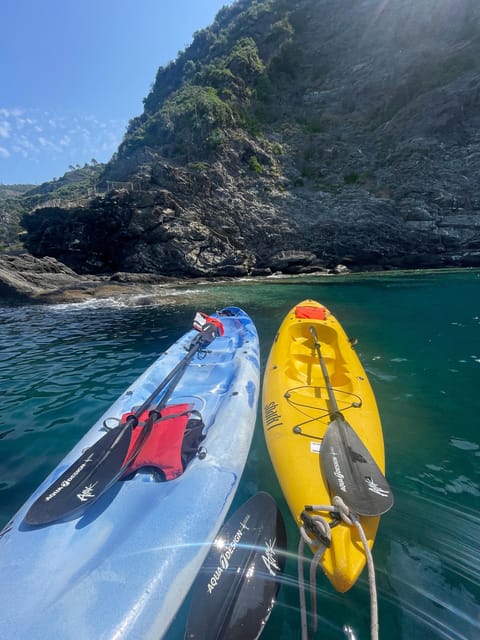 SHARK CAVE KAYAK TOUR - Kayaking Through Inlets and Cliffs