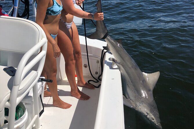 Shark Fishing Tampa Bay - Authentic Encounters & Expert Guidance