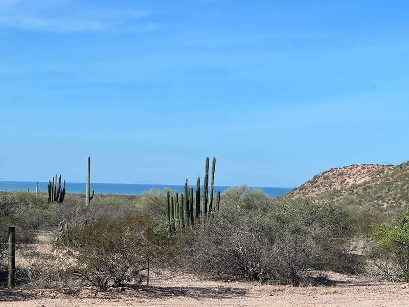 Shark Island: Tour of the largest island in Mexico - Key Points