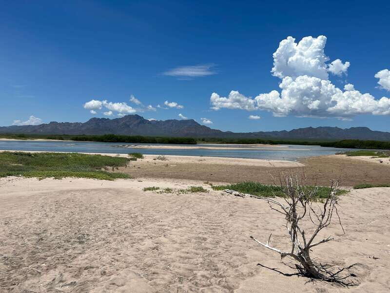 Shark Island: Tour of the largest island in Mexico - An In-Depth Look at the Shark Island Tour