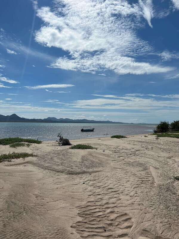 Shark Island: Tour of the largest island in Mexico - FAQ