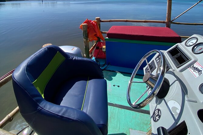 Shark & Ray Afternoon Swim Tiki Bar Cruise - Key Points