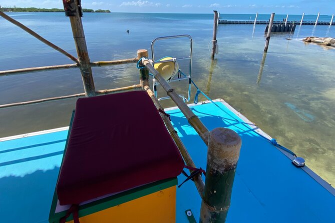 Shark & Ray Afternoon Swim Tiki Bar Cruise - Inclusions and Restrictions