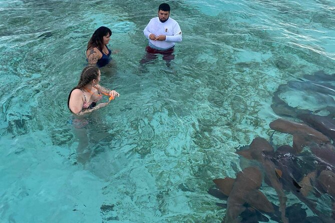 Shark & Ray Afternoon Swim Tiki Bar Cruise - Swim With Nurse Sharks and Stingrays