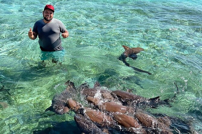 Shark & Ray Afternoon Swim Tiki Bar Cruise - Safety Emphasis
