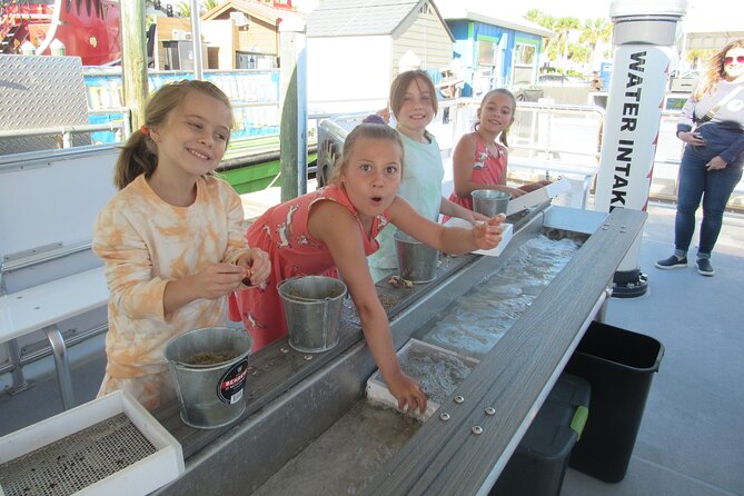Shark Teeth and Shells, Dolphin and Shelling Tour Boat Clearwater Beach - Who Should Consider This Tour?
