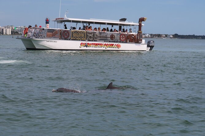 Shark Teeth and Shells, Dolphin and Shelling Tour Boat Clearwater Beach - FAQs