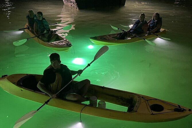 Sharkey's Glass Bottom Fish Feeding LED Night Tour in Clearwater - The Value of the Experience