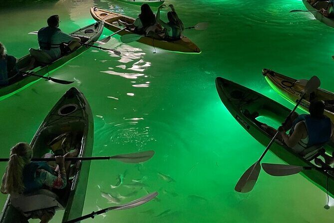 Sharkey's Glass Bottom Fish Feeding LED Night Tour in Clearwater - The Sum Up: The Real Deal for Wildlife Enthusiasts