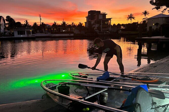 Sharkey's Glass Bottom Fish Feeding LED Night Tour in Venice, FL - Key Points