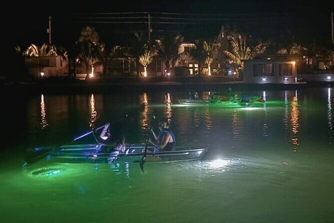 Sharkey's Glass Bottom Fish Feeding LED Night Tour in Venice, FL - The Fish Feeding Experience