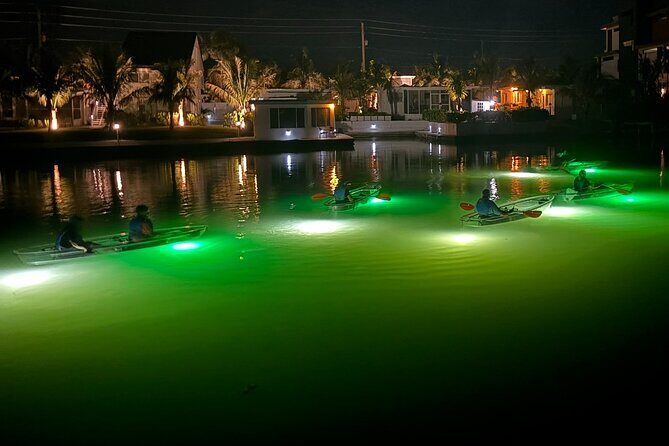 Sharkey's Glass Bottom Fish Feeding LED Night Tour in Venice, FL - The Practical Details and Value
