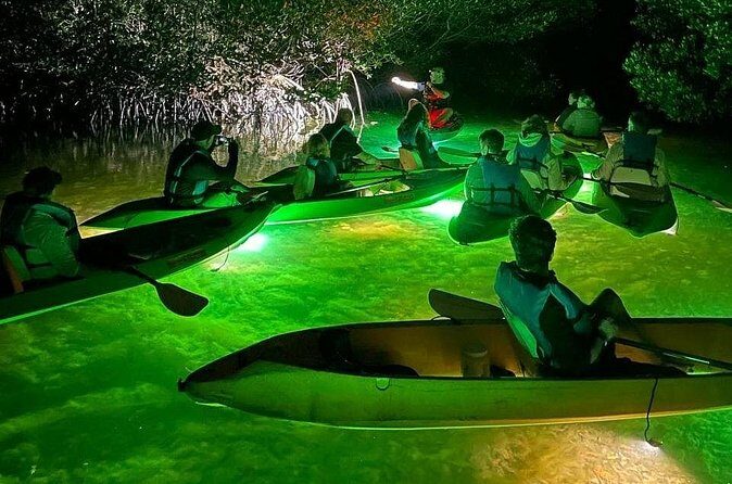 Sharkeys Glass Bottom Fish Feeding LED Night Tour Key West - The Experience of Paddling in the Dark