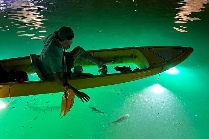 Sharkeys Glass Bottom Fish Feeding LED Night Tour St. Pete Beach - Highlights of the Night Tour