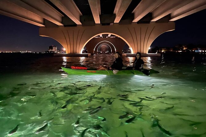 Sharkeys Glass Bottom Fish Feeding LED Night Tour St. Pete Beach - Tour Details and Logistics