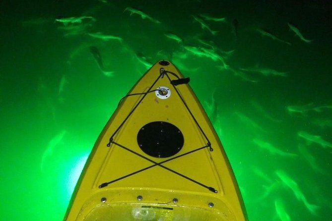 Sharkeys Glass Bottom Fish Feeding LED Night Tour St. Pete Beach - Why Choose Sharkeys for Your Kayaking Adventure