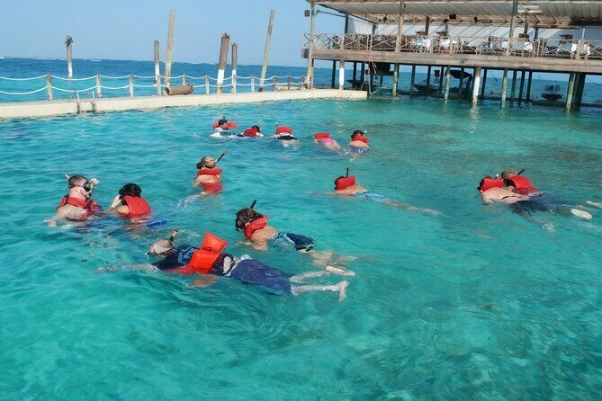 Sharks & Stingrays Snorkeling in Punta Cana with Parasailing - Authentic Traveler Feedback